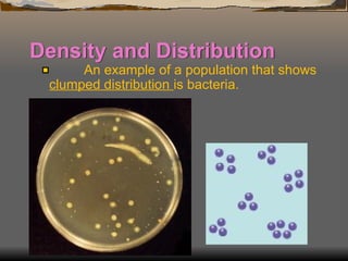 5.1 ppt.pptx how to population growth control | PPT