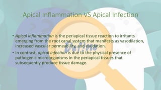 5. periodontal diseases and etiology.pdf