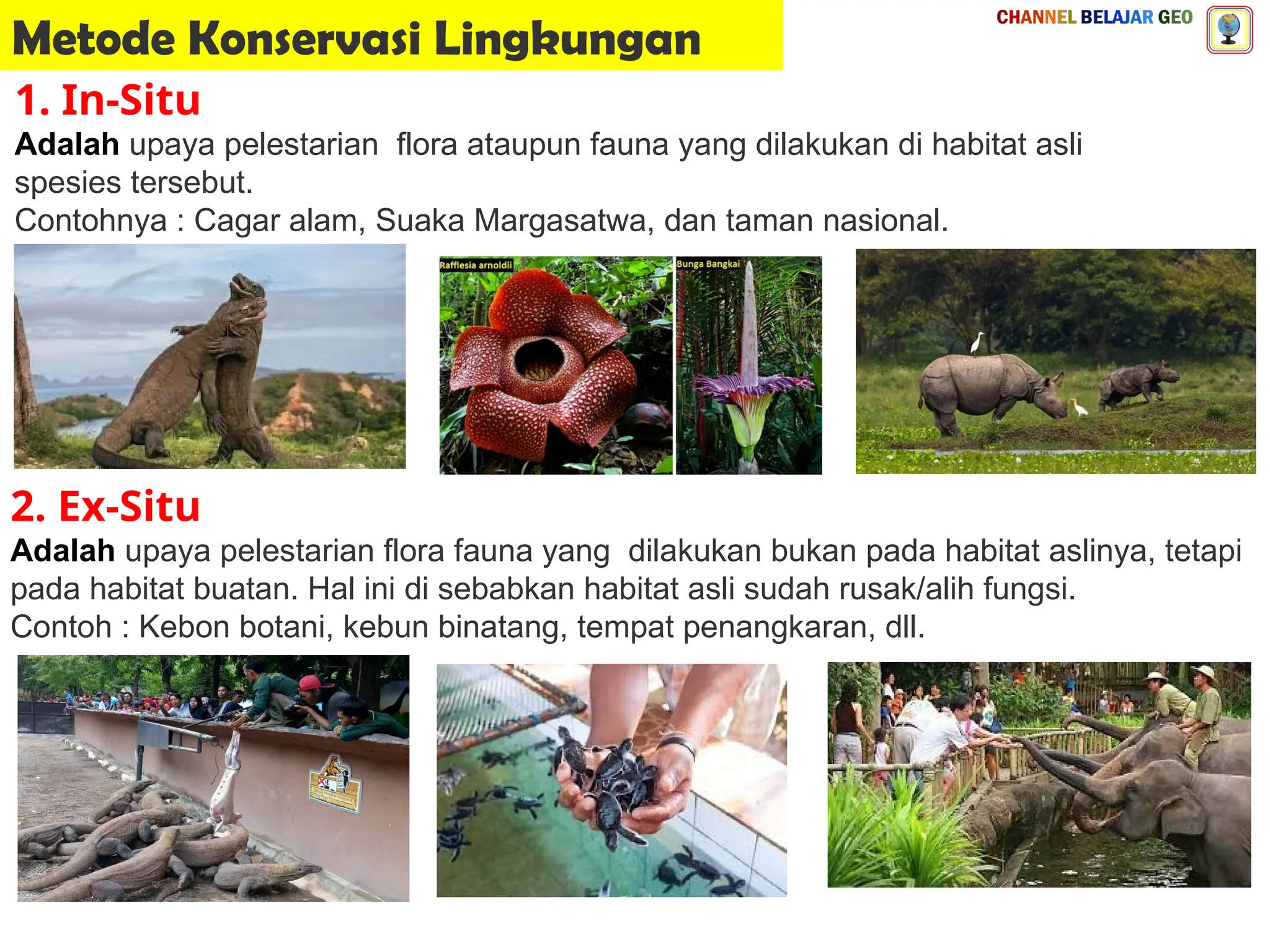 Konservasi flora fauna di Indonesia dan di Dunia | PPSX