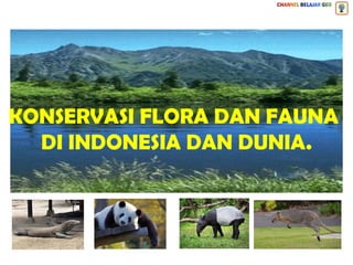 Konservasi flora fauna di Indonesia dan di Dunia | PPT
