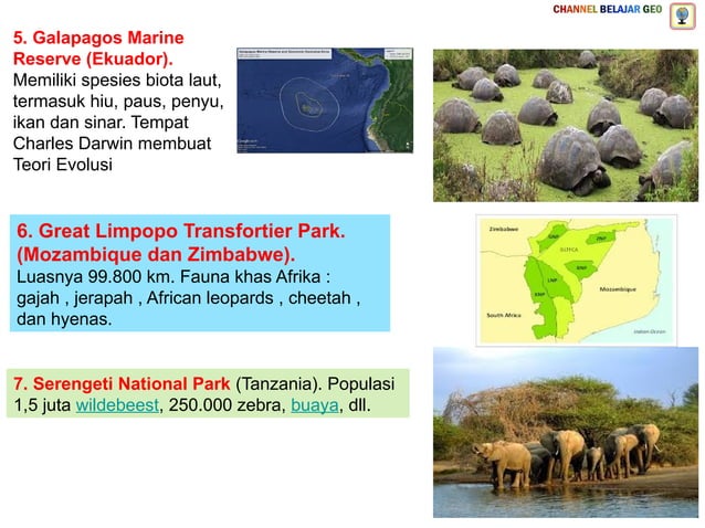 Konservasi flora fauna di Indonesia dan di Dunia | PPT