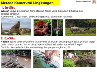Konservasi flora fauna di Indonesia dan di Dunia | PPT