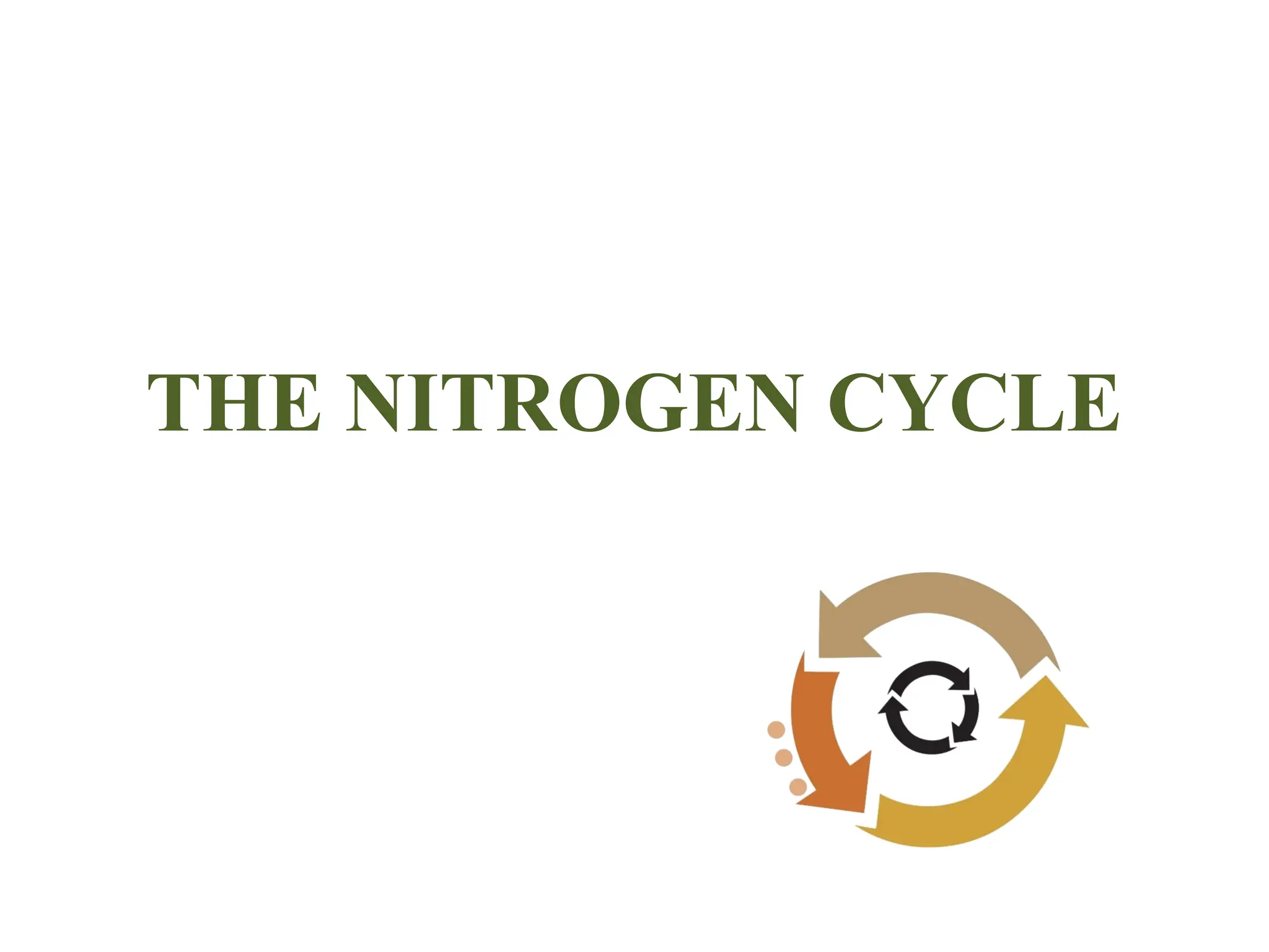 The Nitrogen Cycle , earth basic gas, the gas different the earth from ...