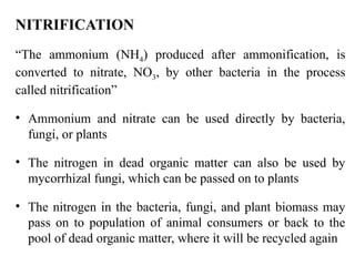 The Nitrogen Cycle , earth basic gas, the gas different the earth from ...