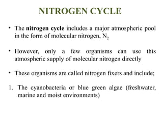 The Nitrogen Cycle , earth basic gas, the gas different the earth from ...