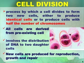 Math, Science and Technology - Cell Division.pptx