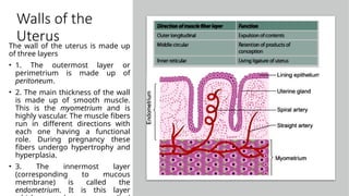 5. Menstrual Cycle - Embryology .pptx