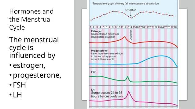 5. Menstrual Cycle - Embryology .pptx