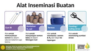 Alat- alat Inseminasi Buatan pada Sapi .pptx