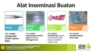 Alat- alat Inseminasi Buatan pada Sapi .pptx