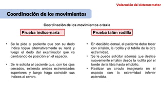 Pasos de la valoración neurológica de enfermería | PPTX