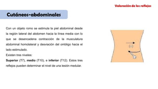 Pasos de la valoración neurológica de enfermería | PPTX