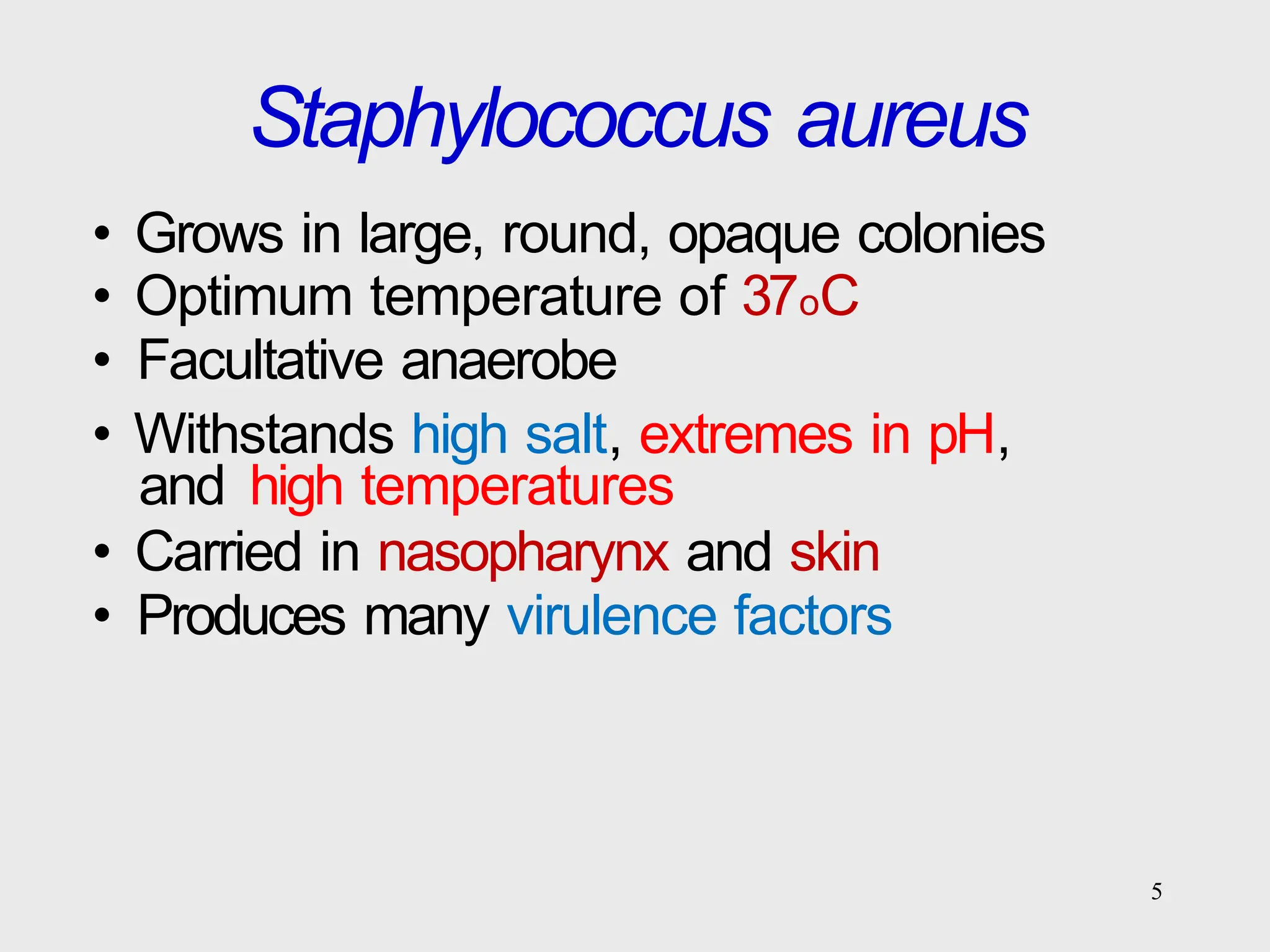 5. Bacteria-Cocci of medical importance.pptx