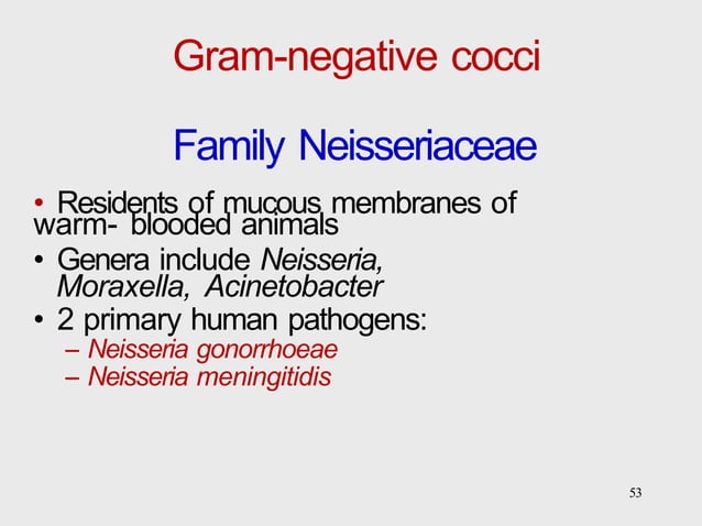 5. Bacteria-Cocci of medical importance.pptx