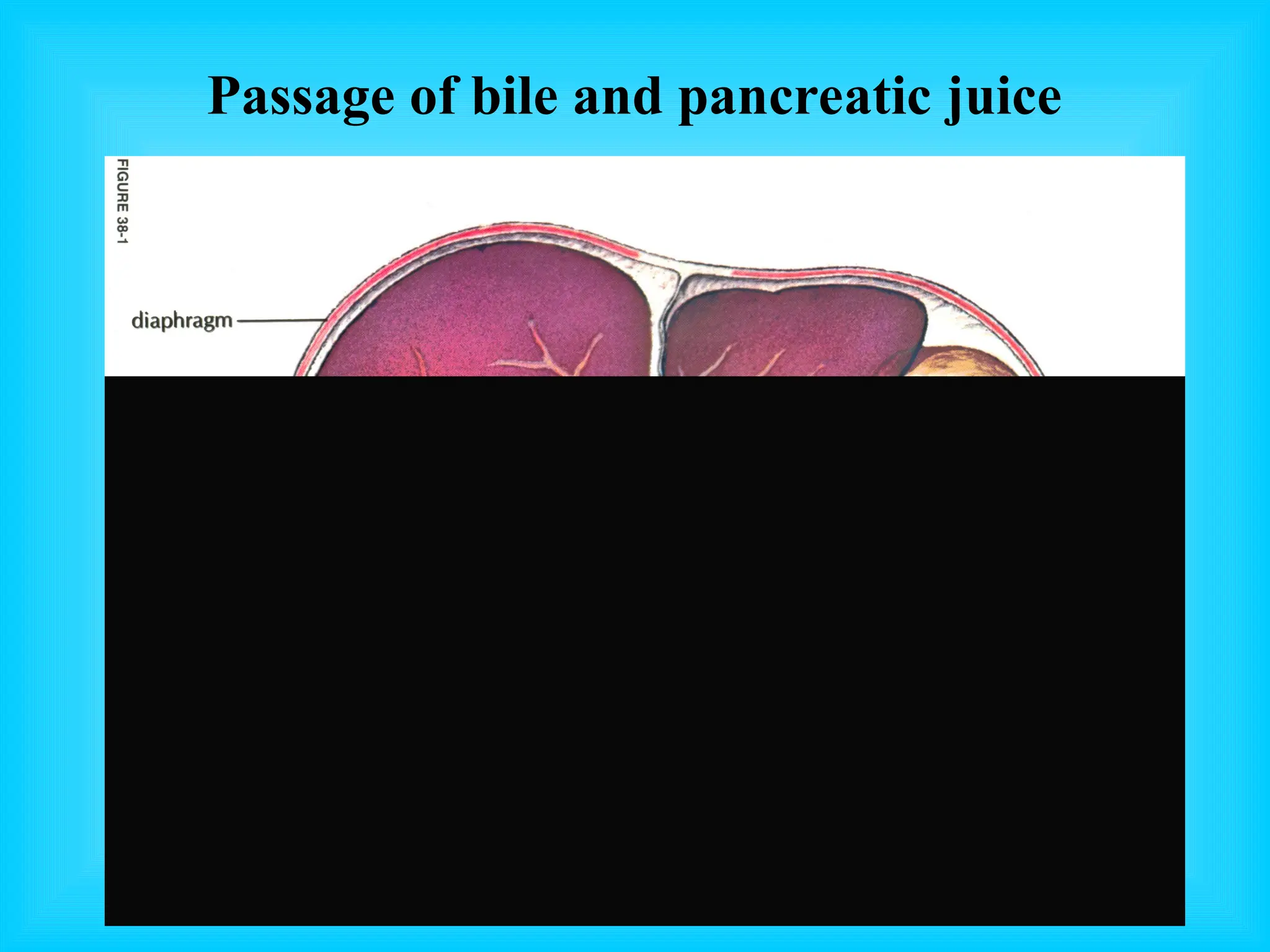 Acute pancreatitis is a sudden inflammation of the pancreas due to ...