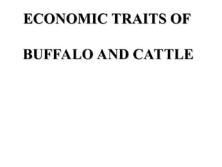 5. Economic traits of cattle and buffalo(1).ppt