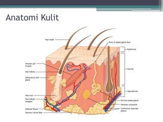 5. Anatomi dan FIsiologi Integument.pptx