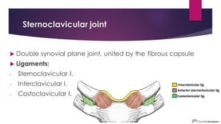 5.General structures of joints. Magdalena Mazur (1).pdf