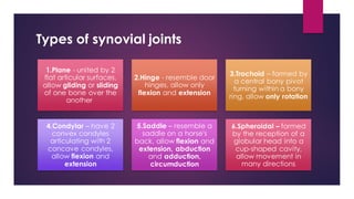 5.General structures of joints. Magdalena Mazur (1).pdf