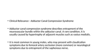5. Adductor canal of the lower limb (Anatomy) | PPTX
