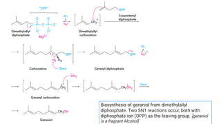5. leaving groups and Solvents organic chemistry.pdf