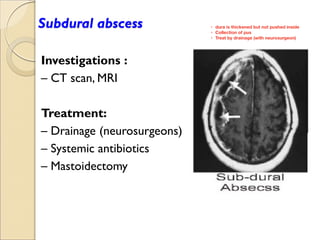 5.Ear IV anatomy of the ear and canal….. | PPT