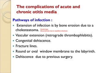5.Ear IV anatomy of the ear and canal….. | PPT