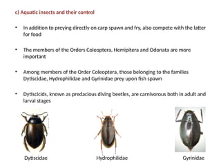 5.1 - Fish spawn rearing in nursery pond (2).ppt