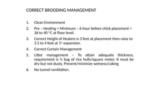 5. Brooding phases Of any Breed of Chickens | PPT