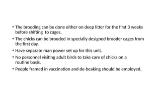 5. Brooding phases Of any Breed of Chickens | PPT
