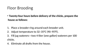 5. Brooding phases Of any Breed of Chickens | PPTX