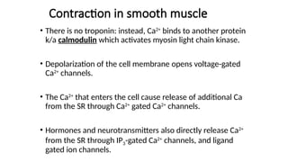 5. Smooth Muscle anatomy and contraction .pptx