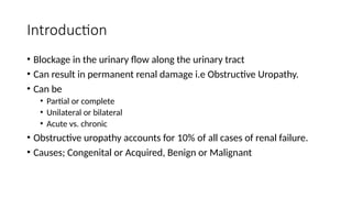 5. Urinary Obstruction diseases and management .pptx