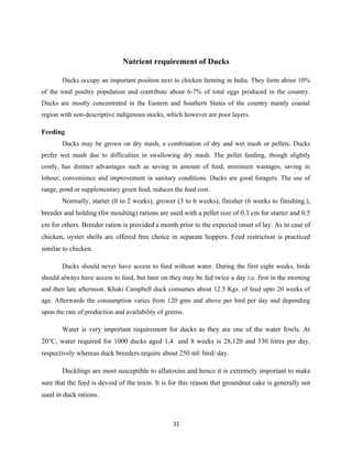 Nutrient requirement of Ducks, Turkey & Quail. | DOCX