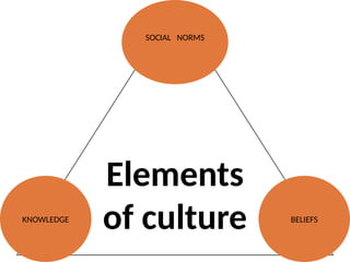5.Elements-of-Culture in understand culture Society and politics | PPTX