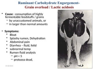 5. METABOLIC AND NUTRITIONAL DEFFICIENCY diseases of livestock ...