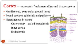5. Primary structure of stem (dicot and monocot).pdf
