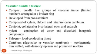 5. Primary structure of stem (dicot and monocot).pdf