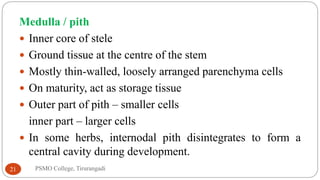5. Primary structure of stem (dicot and monocot).pdf