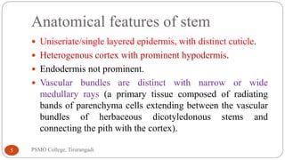 5. Primary structure of stem (dicot and monocot).pdf