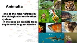 5. TAXONOMIC.CLASSIFICATION.ORGANISMSpptx | PPTX
