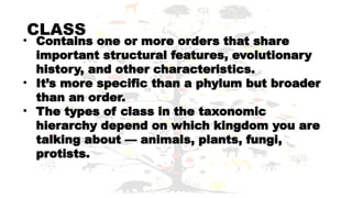 5.1 TAXONOMIC.CLASSIFICATION.HIERARCHY 2.pptx