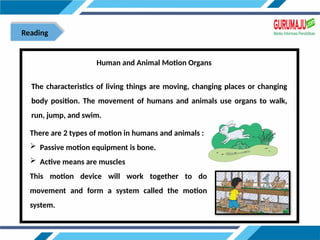 Animal Motion Organs !1111!!!!!!!!!!!!!!! | PPSX