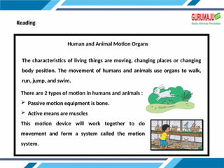 Animal Motion OrgansAnimal Motion Organs.ppt