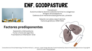 5.- Enfermedad antimembrana basal y Enfermedad de Goodpasture.pdf