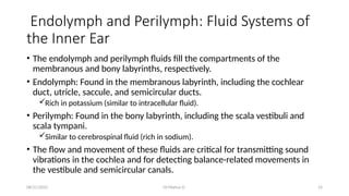 5. Inner ear and facial nerve Anatomy.pptx