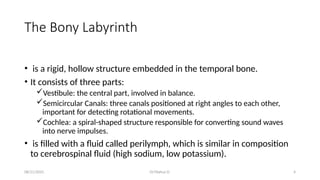5. Inner ear and facial nerve Anatomy.pptx