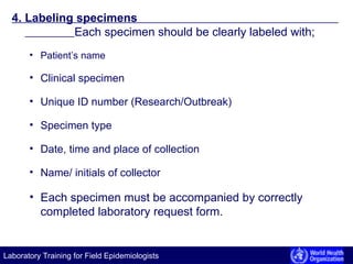5 Specimen Collection And Processing Ppt Ppt