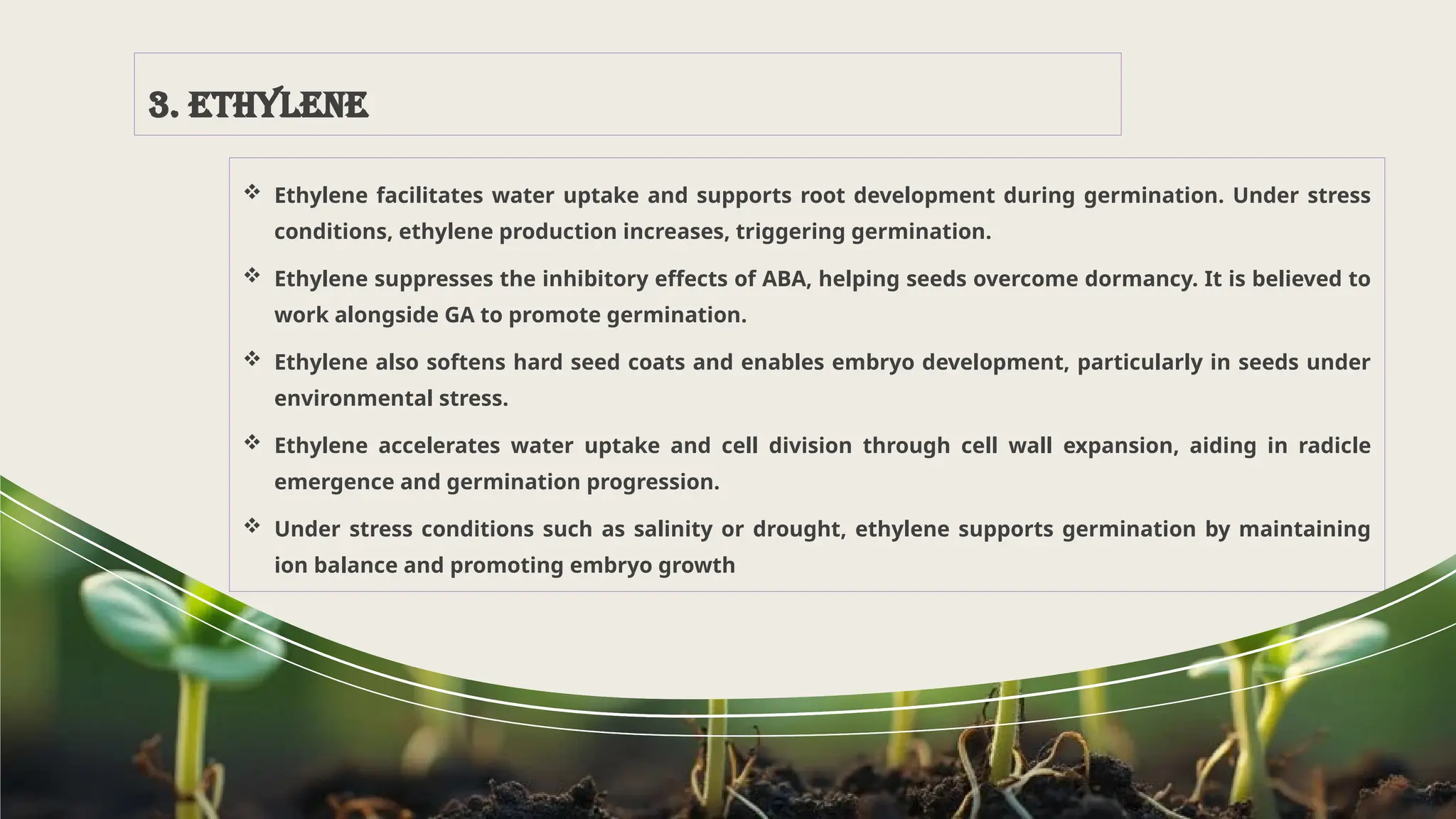 Physiology of dormancy and germination of vegetable seeds.pptx