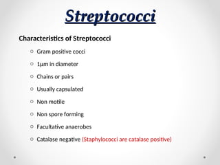 Streptococci microbiology information... | PPT